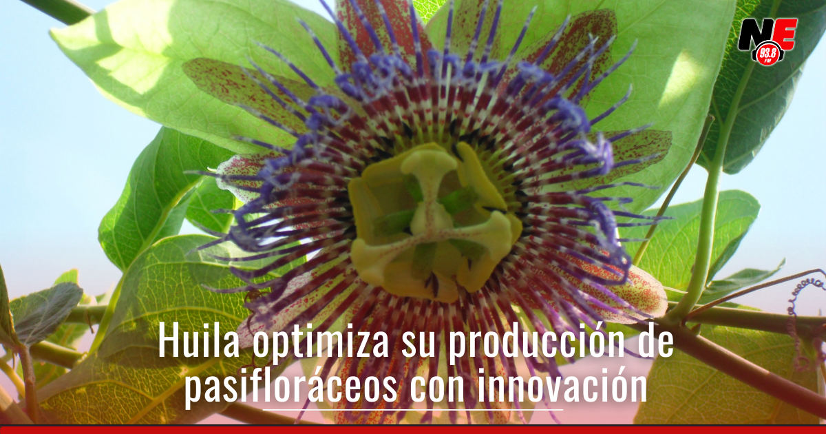 Millonaria inversión en ciencia y tecnología para proyecto de ...