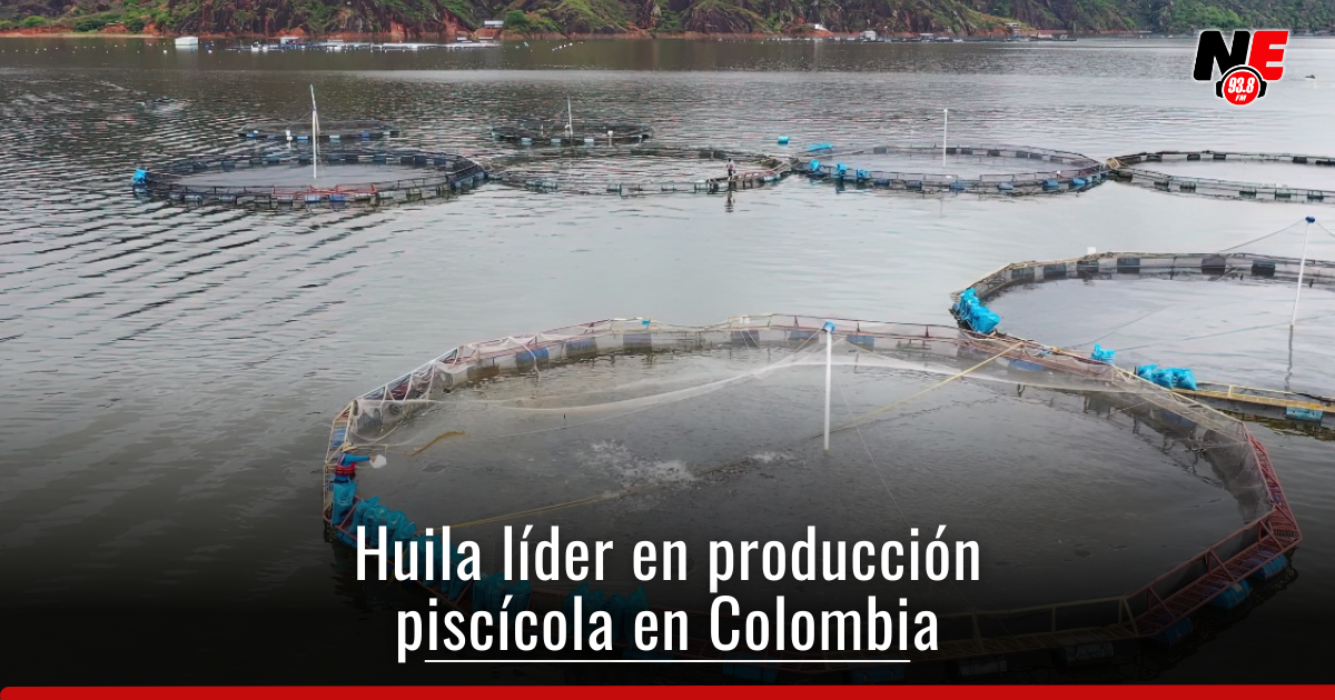 Huila, primer productor piscícola del país